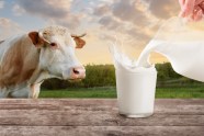 Milk From Jug Pouring Into Glass With Splashes Milk From Jug Pouring Into Glass With Splashes