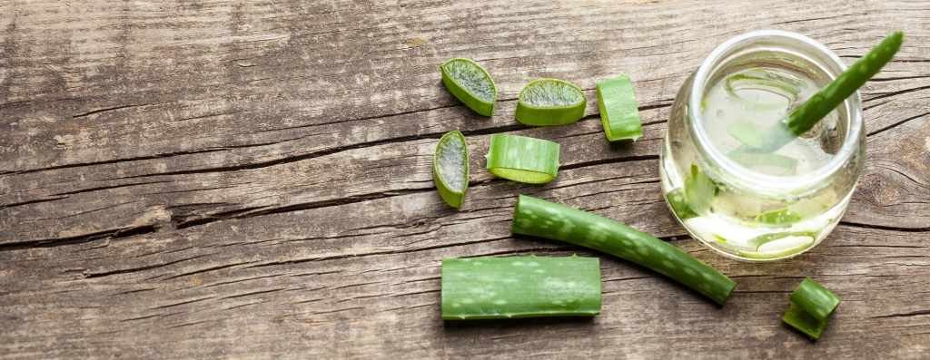 Aloe, the wonder plant - Bigbasket Lifestyle Blog