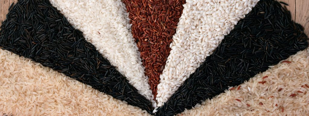 Black to Purple: Rice Varieties to Discover - Bigbasket Lifestyle Blog