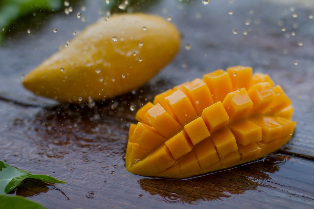 Start of the Monsoon Mangoes
